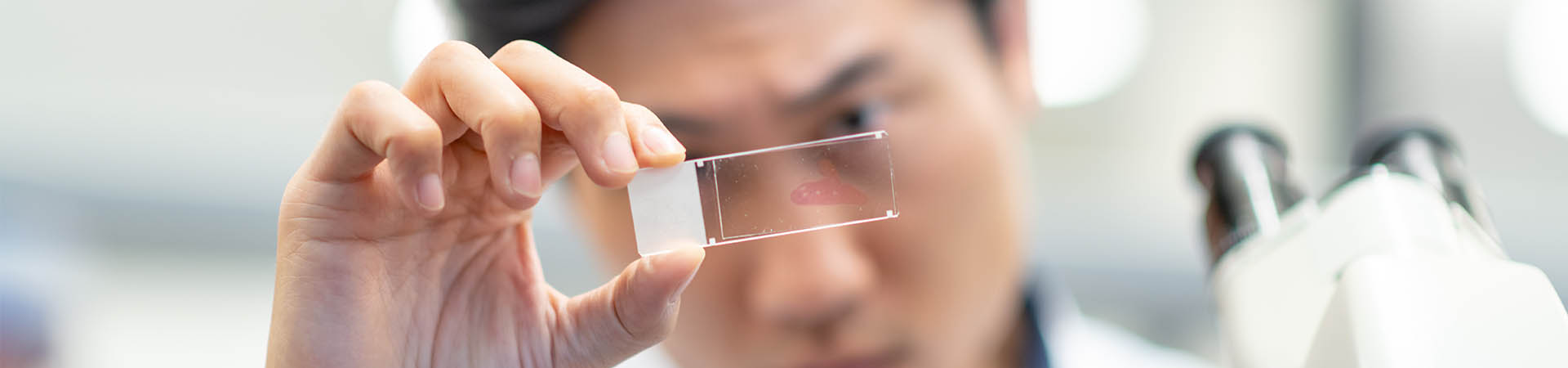 Oncolytic Virus (CF33) - Imugene Limited