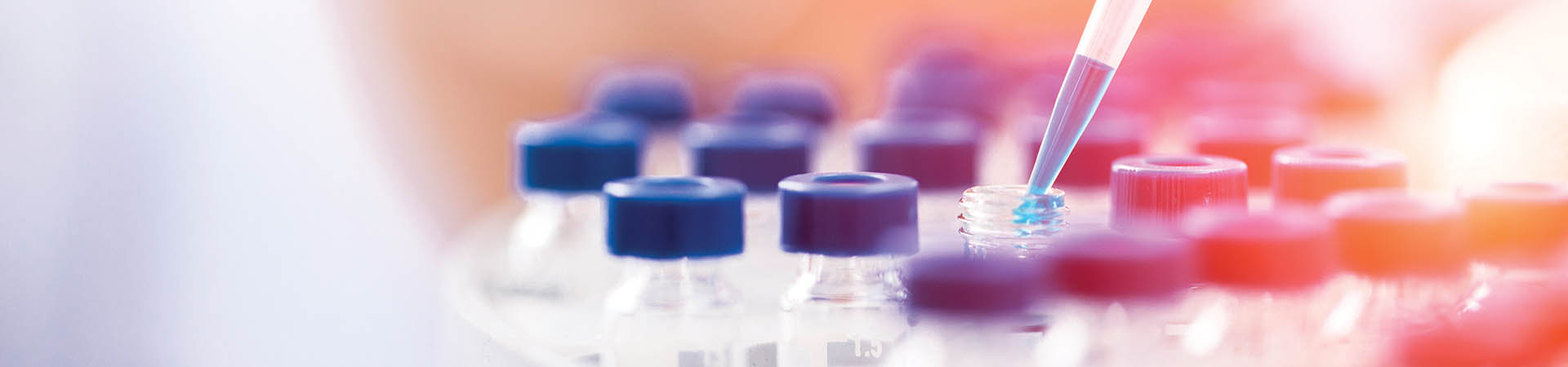 Management Team - Imugene Limited