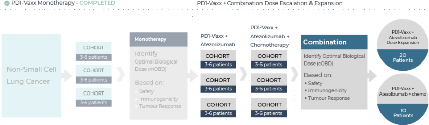 Clinical Trials - Imugene Limited
